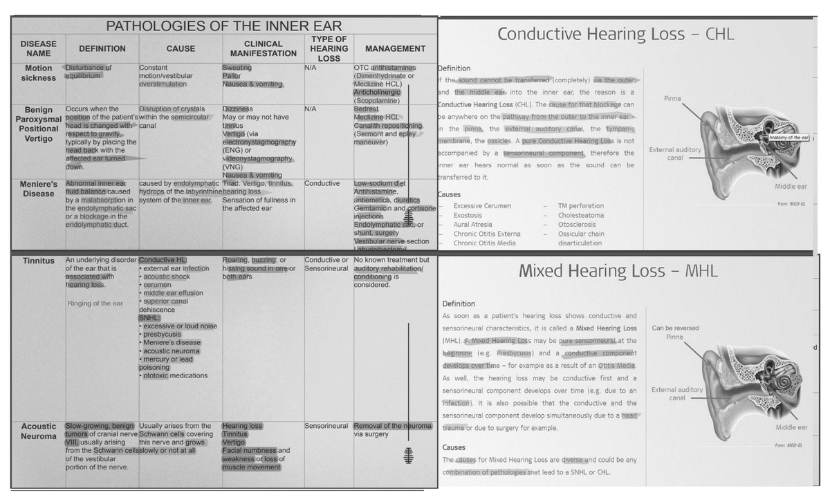Ear - Medical-Surgical Nursing - Studocu