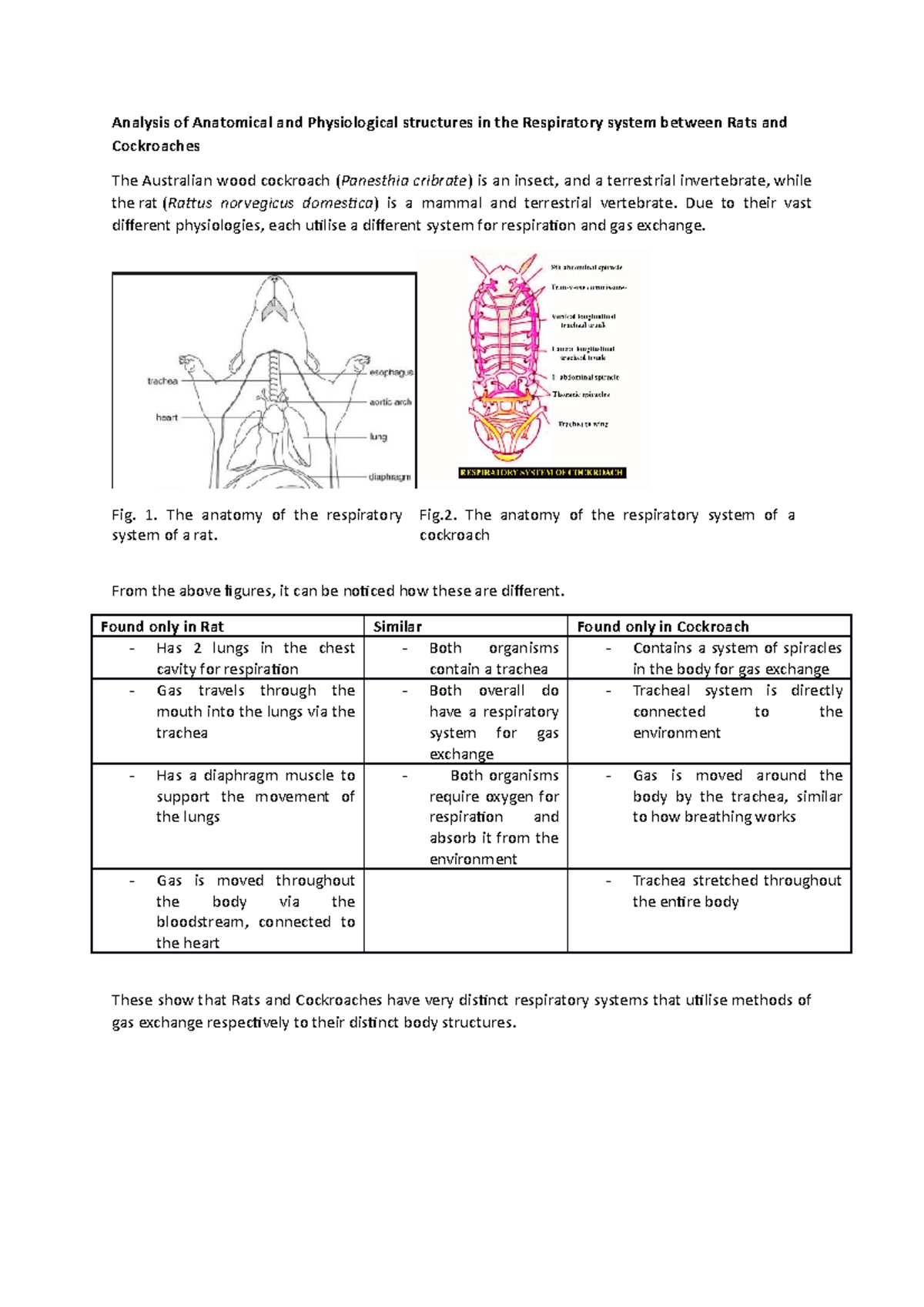 Rat vs Cockroach Respiration - Analysis of Anatomical and Physiological ...