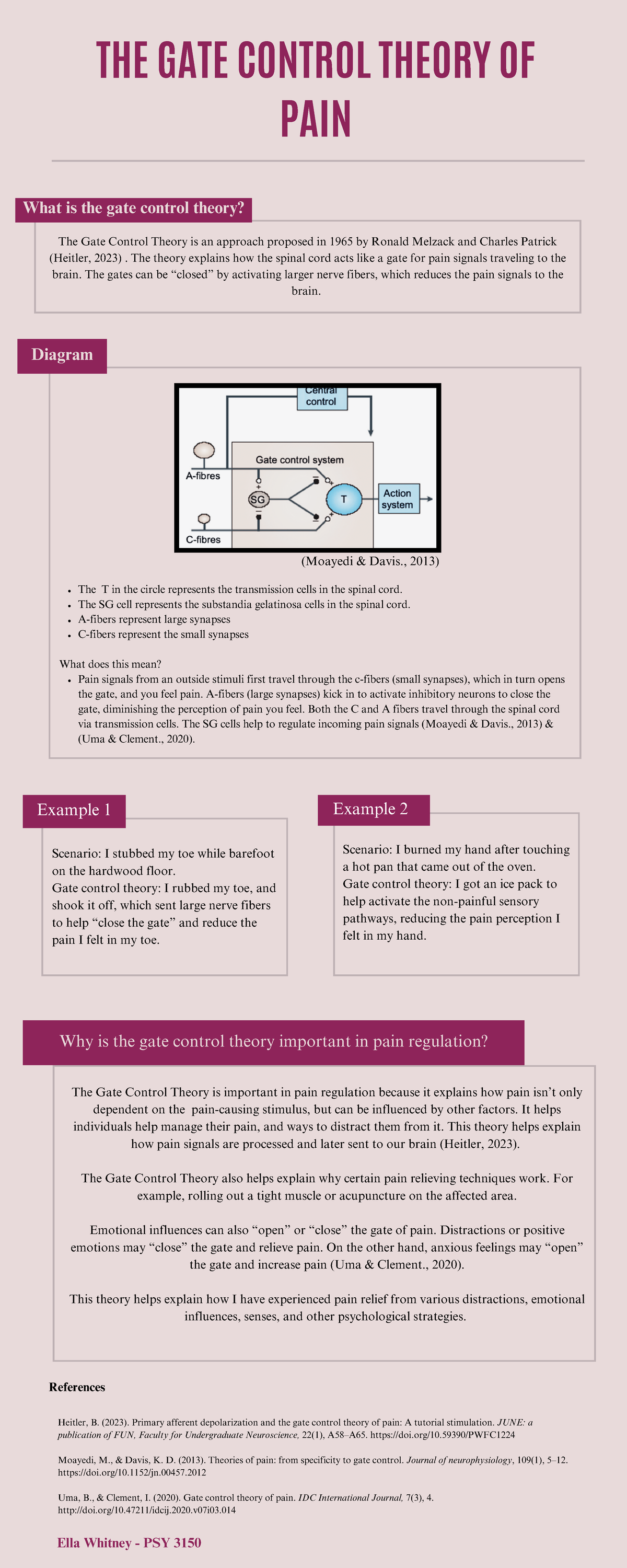 The gate control theory of pain - Example 1 Example 2 THE GATE CONTROL ...
