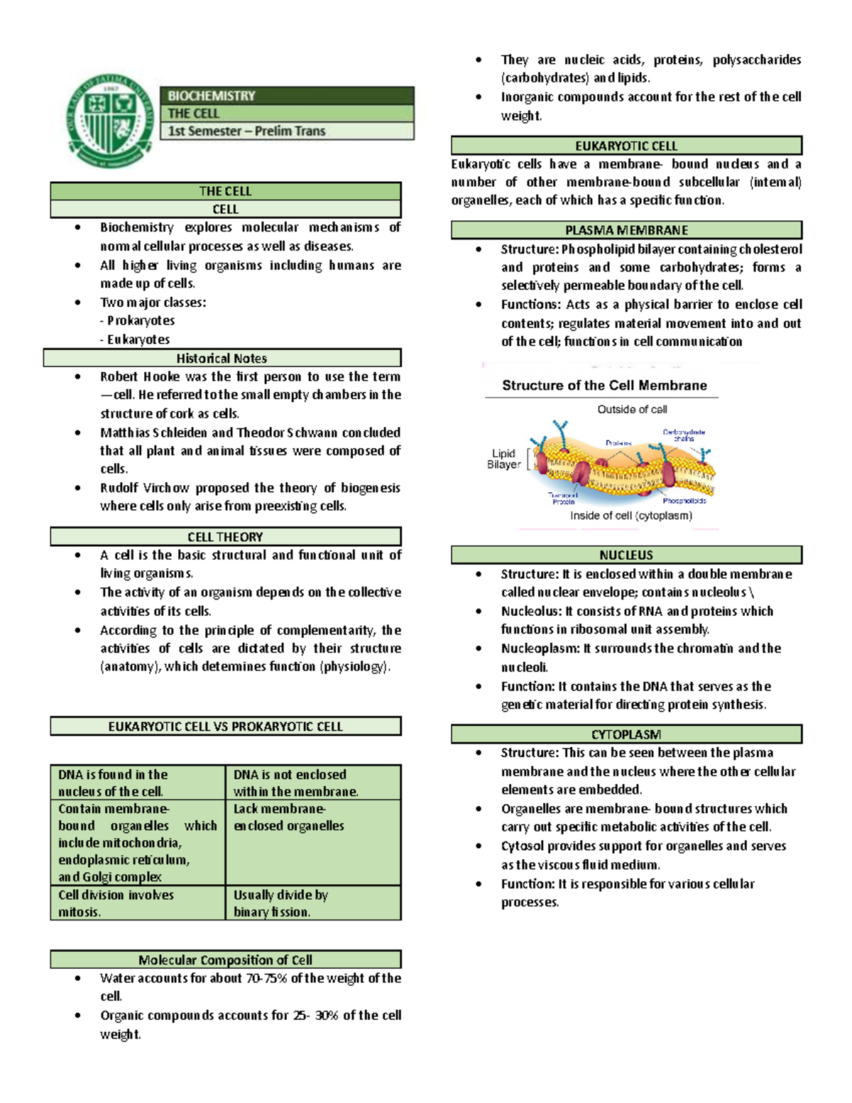 Biochem- Lecture - THE CELL CELL Biochemistry explores molecular ...