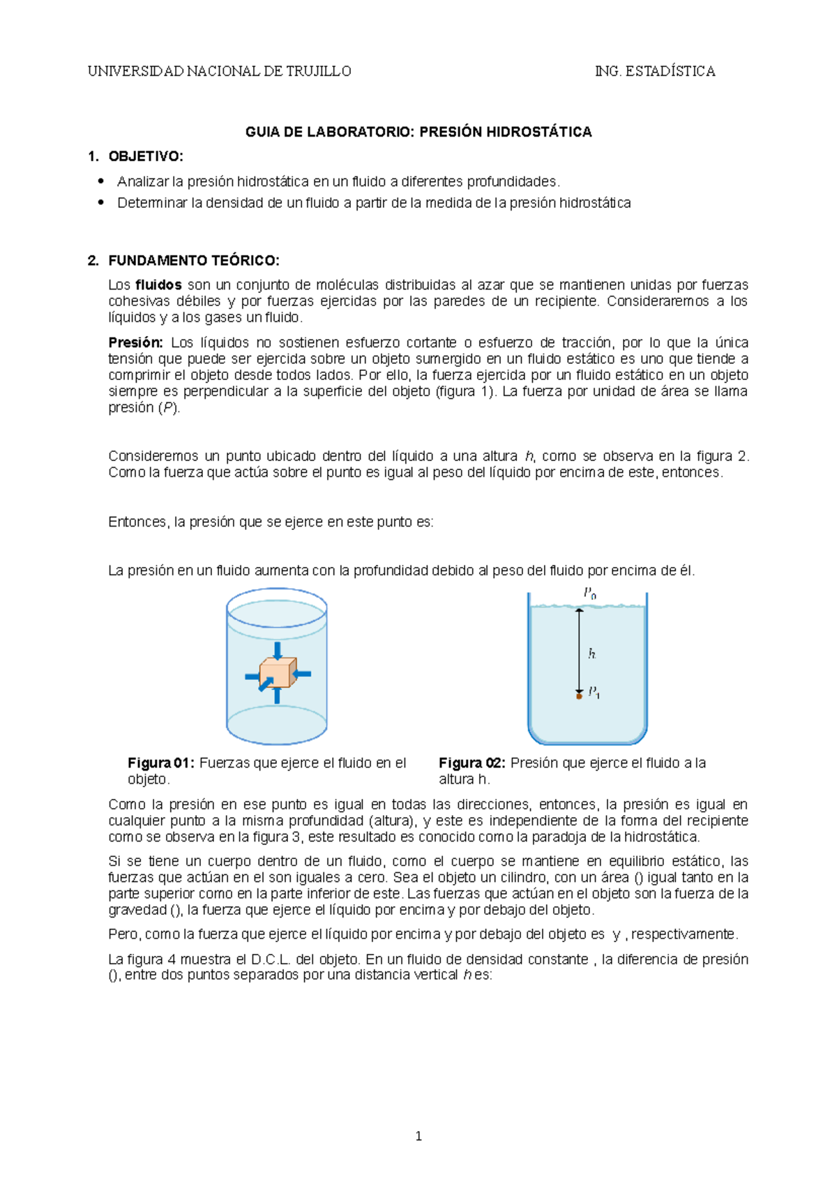 Presión Hidrostática - Guía para trabajar informe de laboratorio - GUIA ...