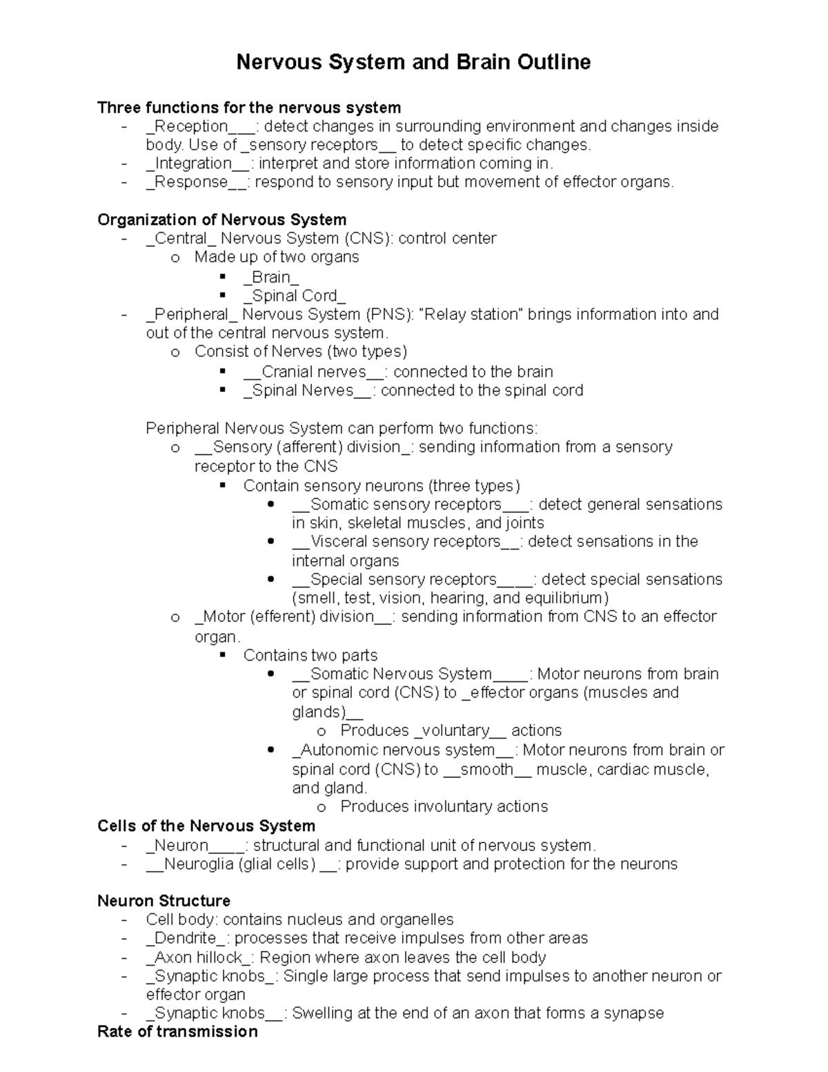 Ex. 9 Nervous System - outline - Nervous System and Brain Outline Three ...