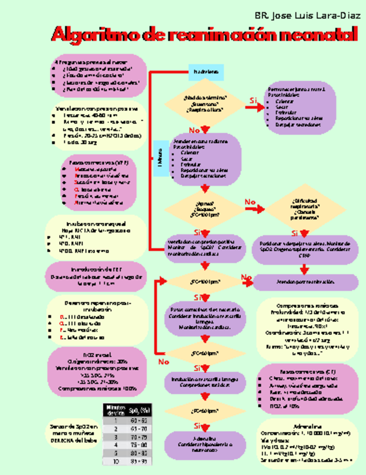 Algoritmo reanimación neonatal 8a ed - Nacimiento ¿Nacido a término? ¿Buen tono? ¿Respira o ...
