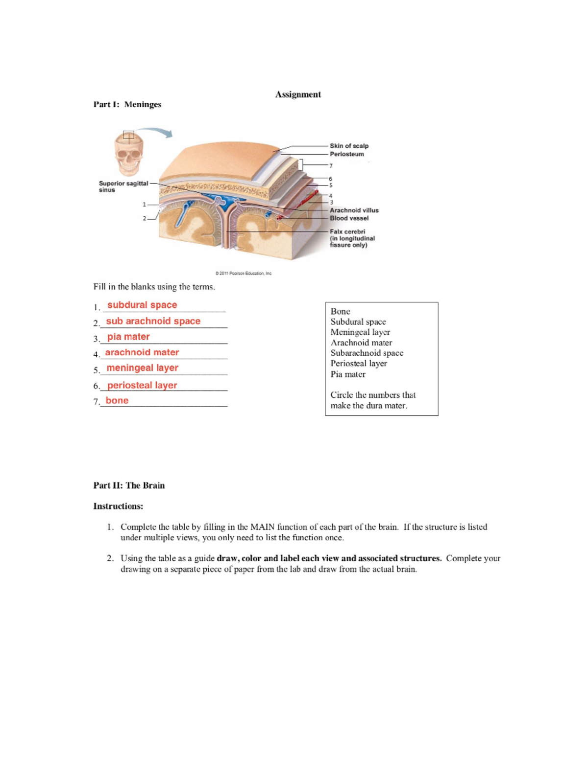 A&p2 lab 3 finished - laboratory assignment - BI 2140 - Studocu