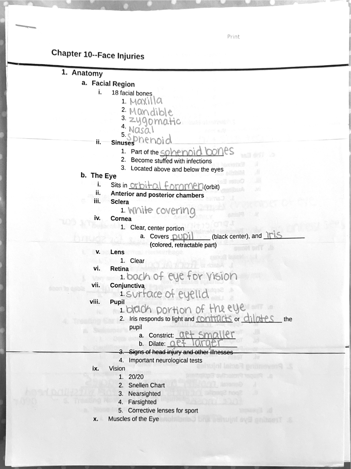 Ch.10-face Injuries - KIN 3303 - Studocu