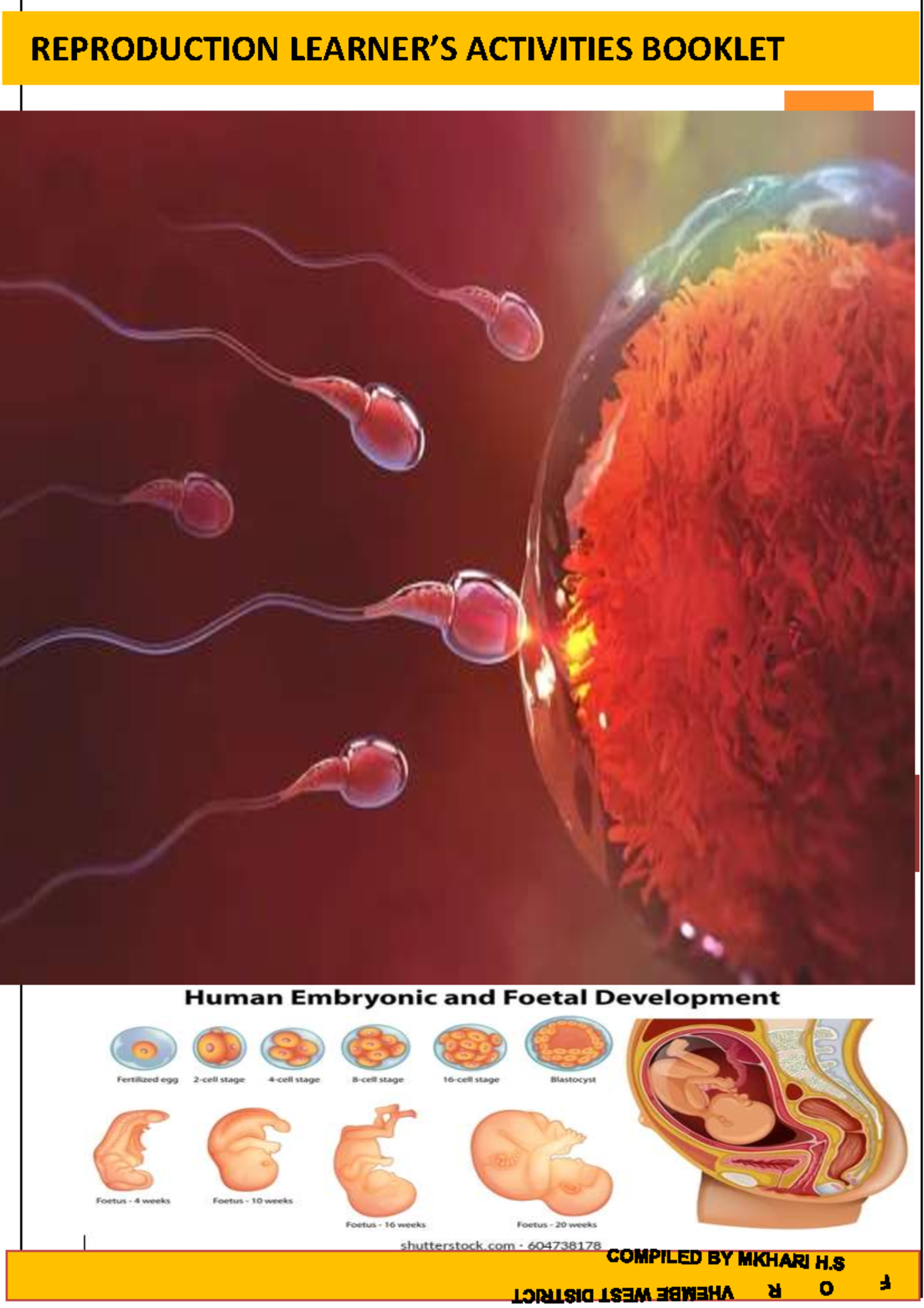 Reproduction Learner' S Activities Booklet - [Year] REPRODUCTION ...