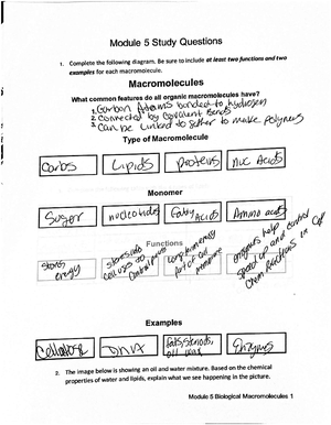 Module 3 - Yup - Module 3 Study Questions 1. Complete the table to ...