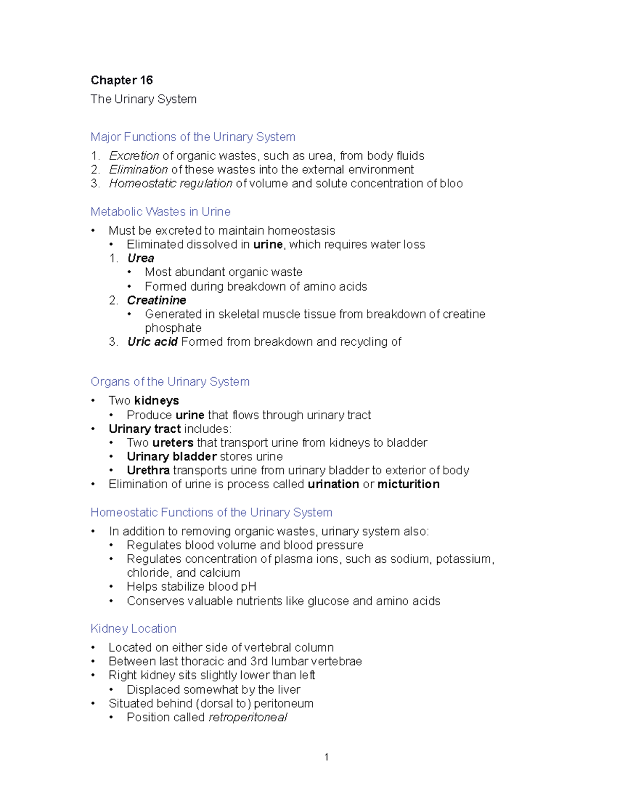 Urinary System Supplemental notes - Chapter 16 The Urinary System Major ...