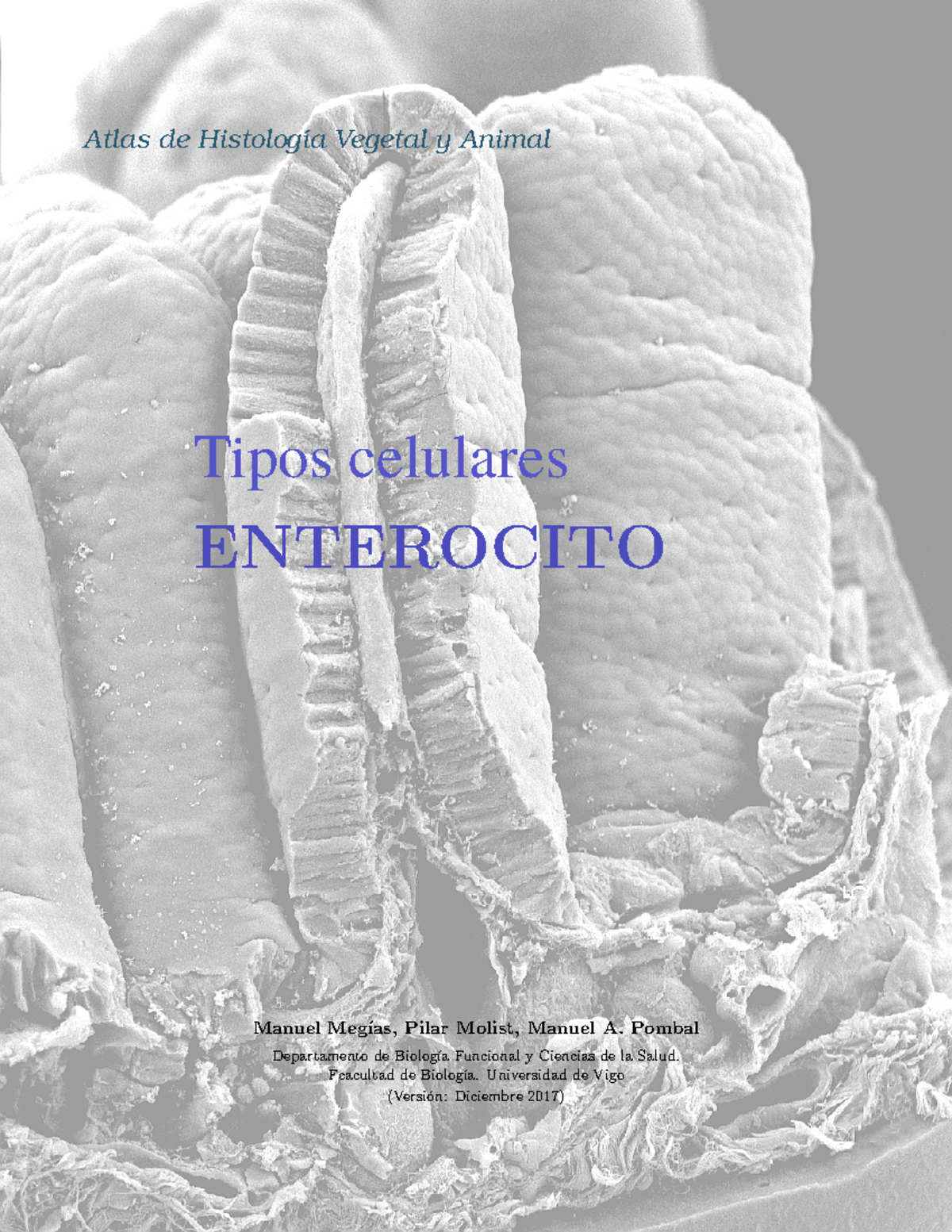 Tipos-cel-enterocito - Atlas de Histolog ́ıa Vegetal y Animal Tipos ...