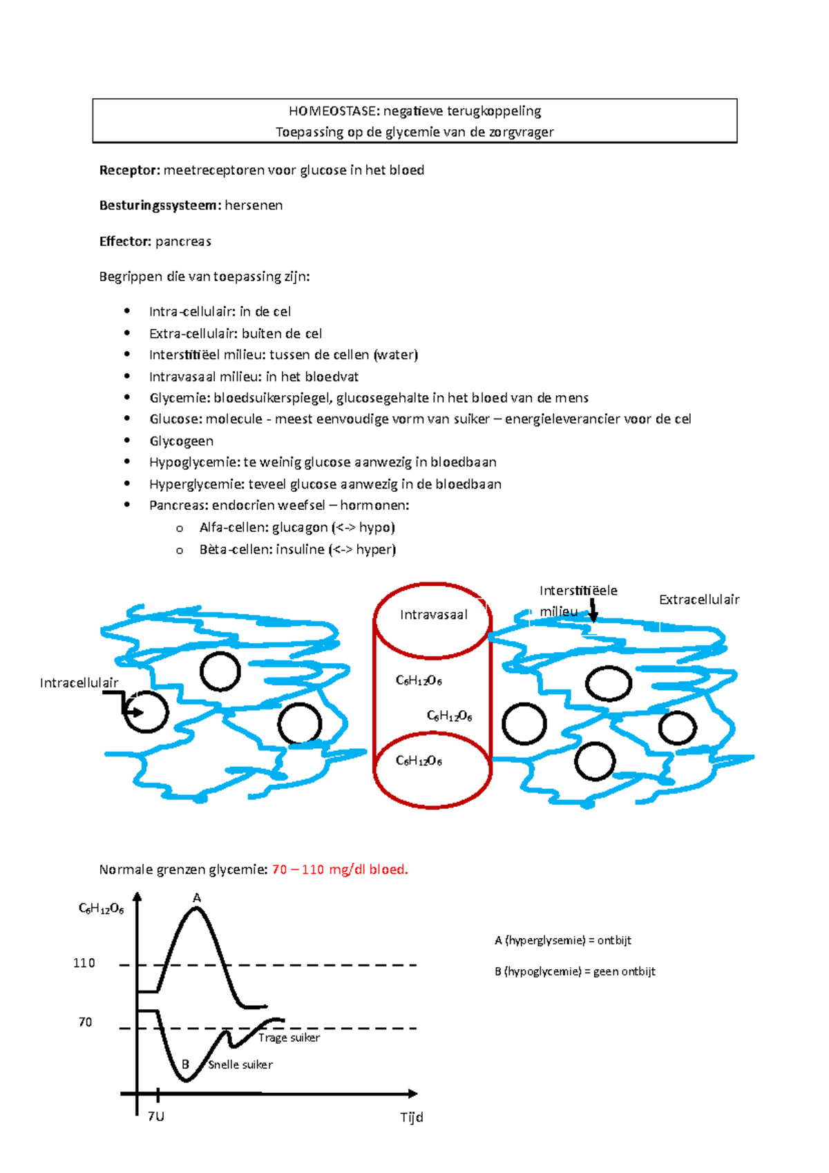 Homeostase toepassing op glycemie - HOMEOSTASE: negatieve terugkoppeling Toepassing op de ...