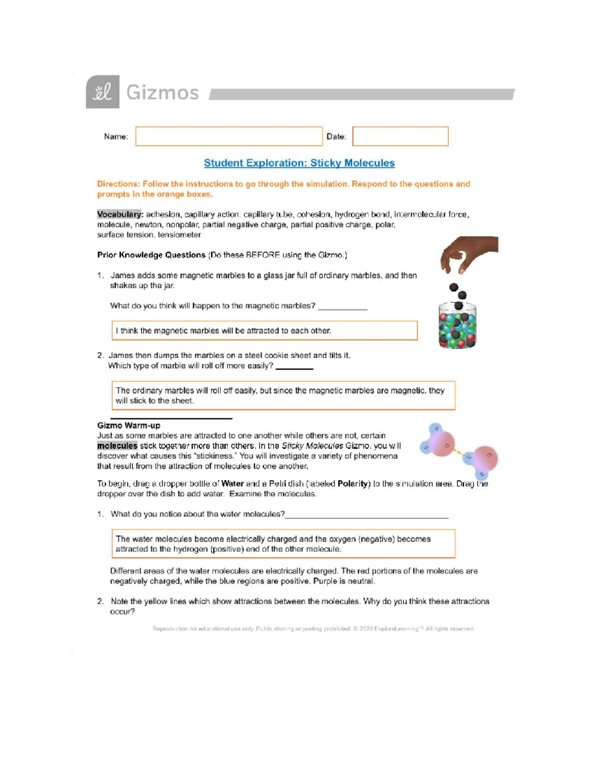 Sticky Molecules - Studocu