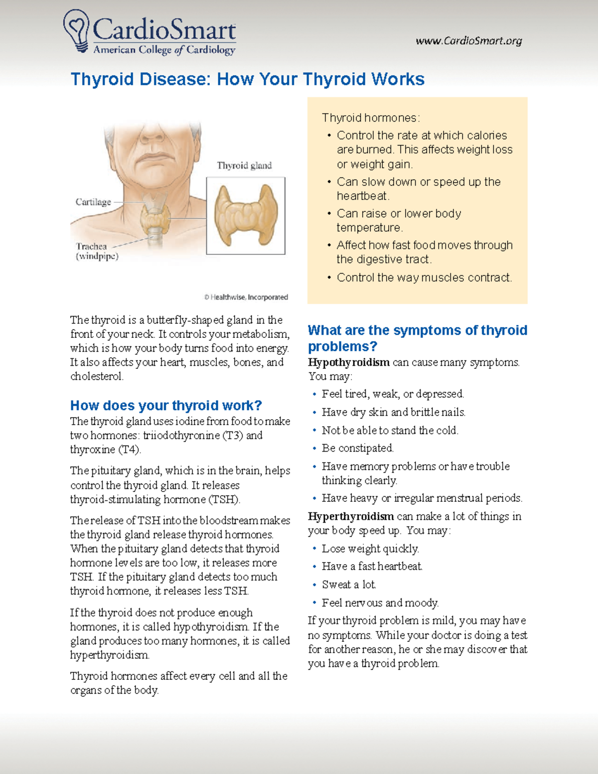 Abl3885 - thyroid disease summary sheet - Thyroid Disease: How Your ...