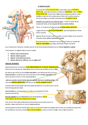 Introduccio Anatomia - Anatomía - Anatomía Humana Introducción Anatomía ...