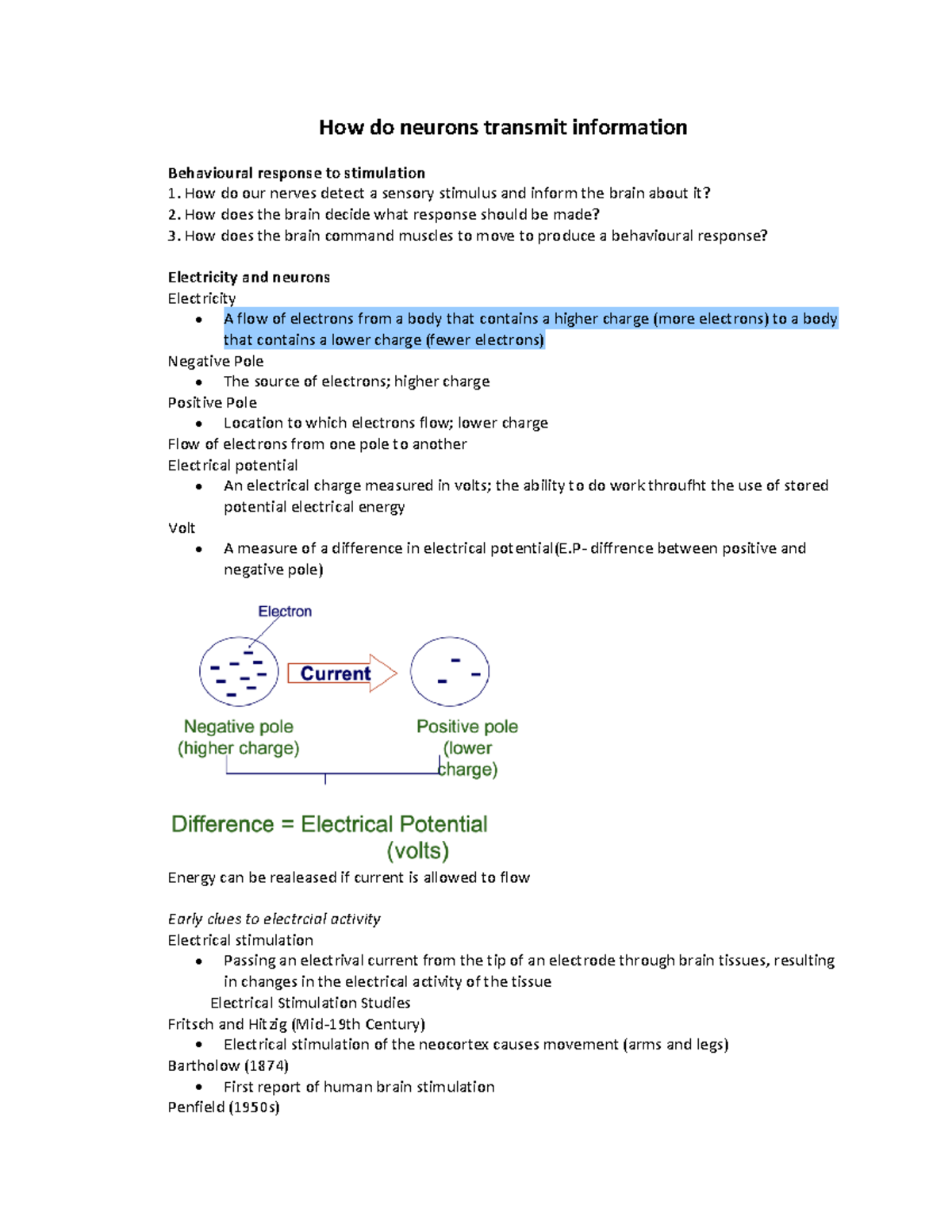 How do neurons transmit information- Notes - How do neurons transmit ...