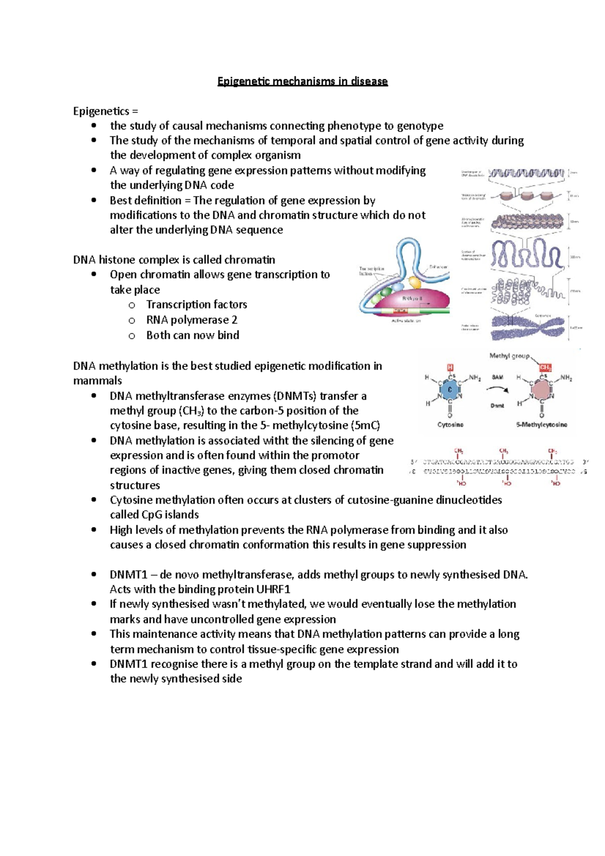 Epigenetic mechanisms in disease - Epigenetic mechanisms in disease ...