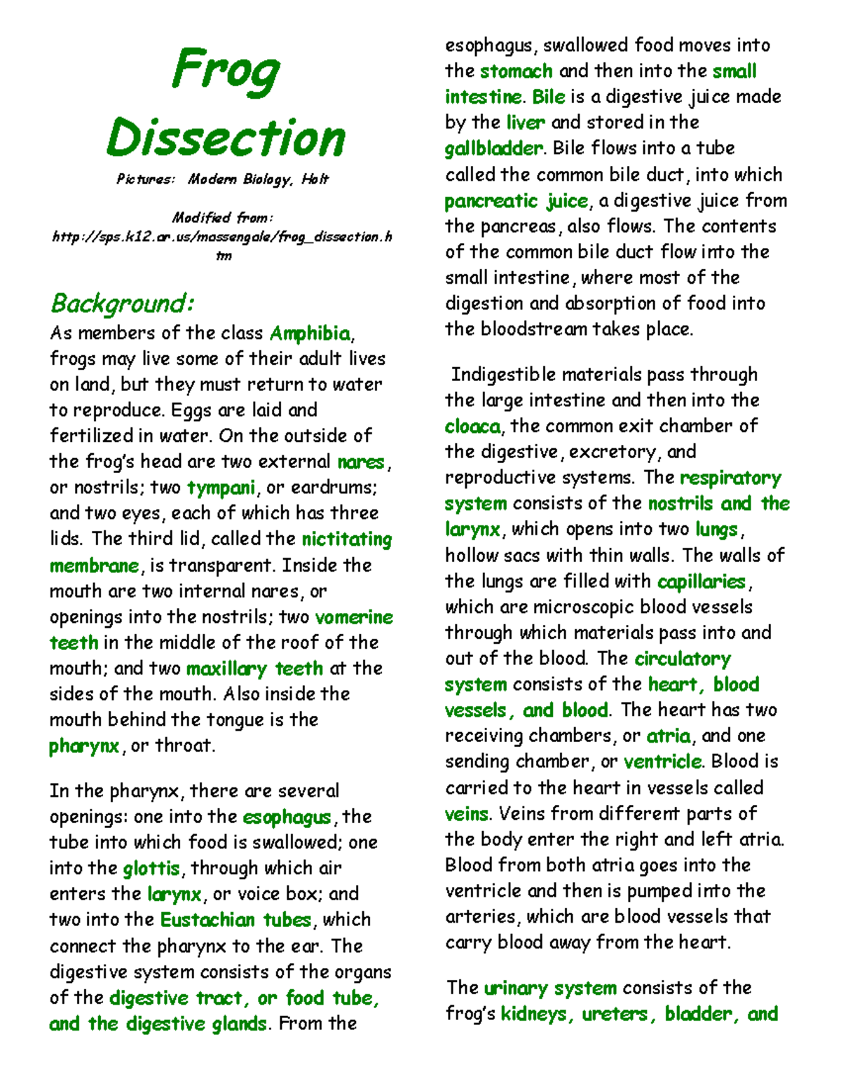 Frog Dissection lab pages - Frog Dissection Pictures: Modern Biology ...