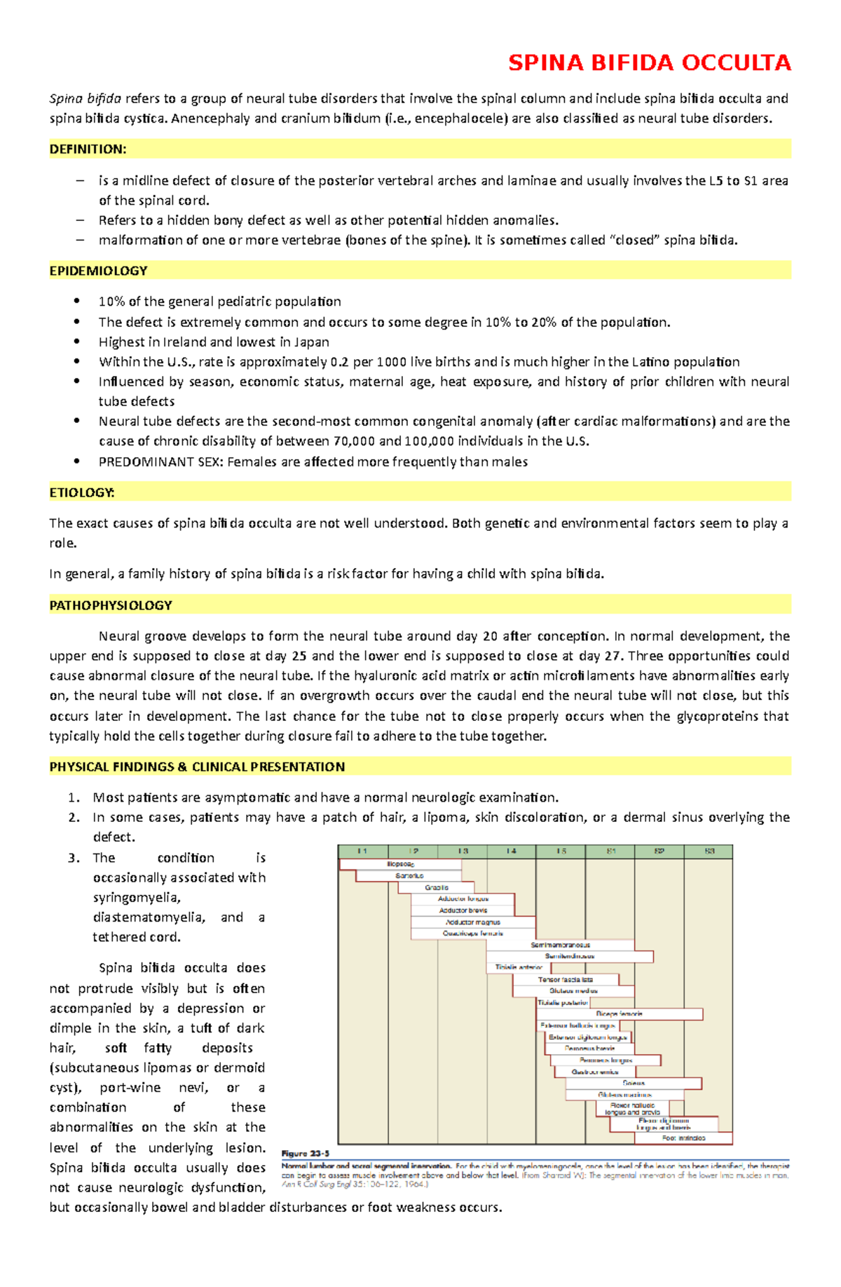 Spina Bifida Occulta - SPINA BIFIDA OCCULTA Spina bifida refers to a ...