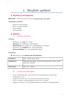 Epitheel - Samenvatting histologie bindweefsel - EPITHEEL WEEFSEL IN ...