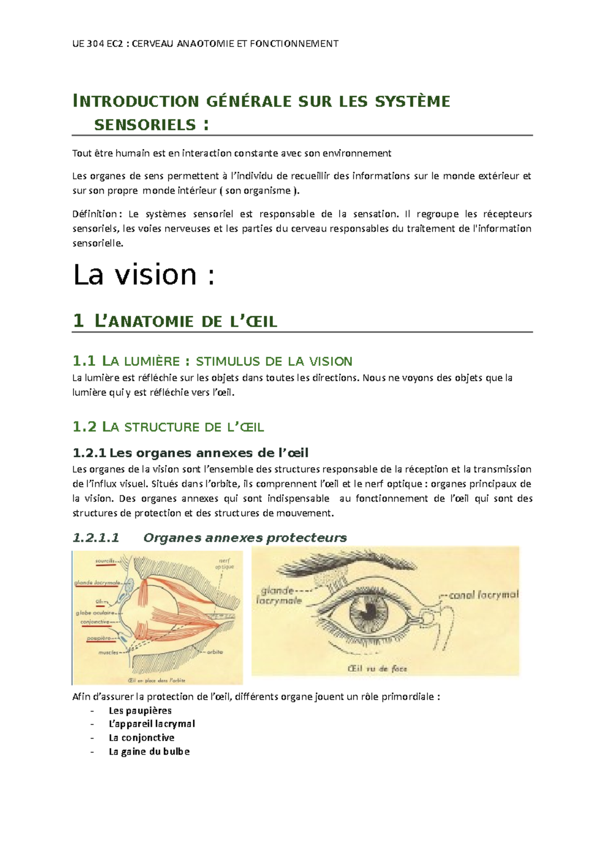 S3. UE 304 EC2 (TD) Anatomie - INTRODUCTION GÉNÉRALE SUR LES SYSTÈME ...