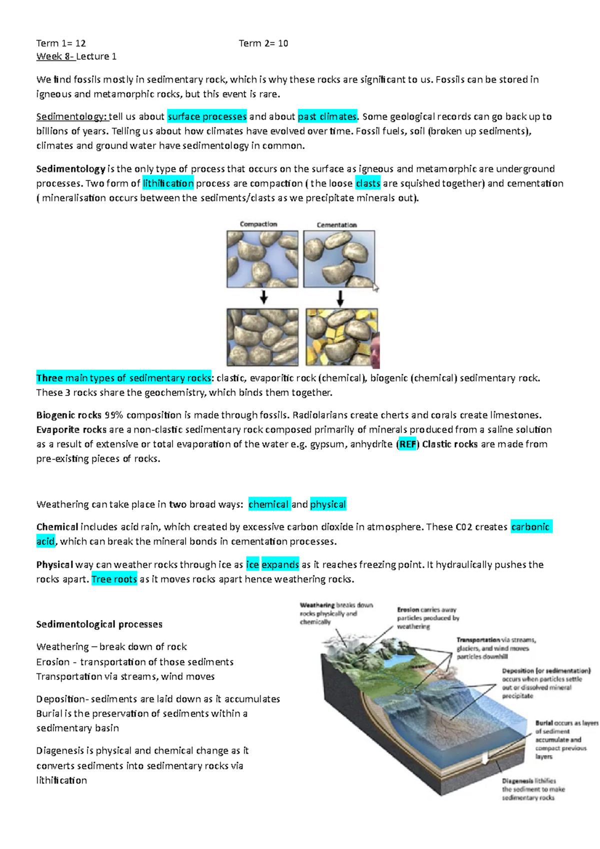 Term 2 notes - Week 8- Lecture 1 We find fossils mostly in sedimentary ...