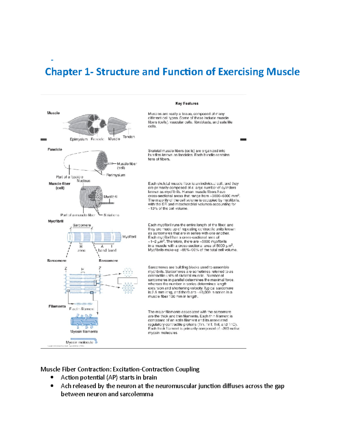 KNES 440 unit 3.docx - Recovered - Compatibility Mode - Chapter 1- Structure and Function of ...