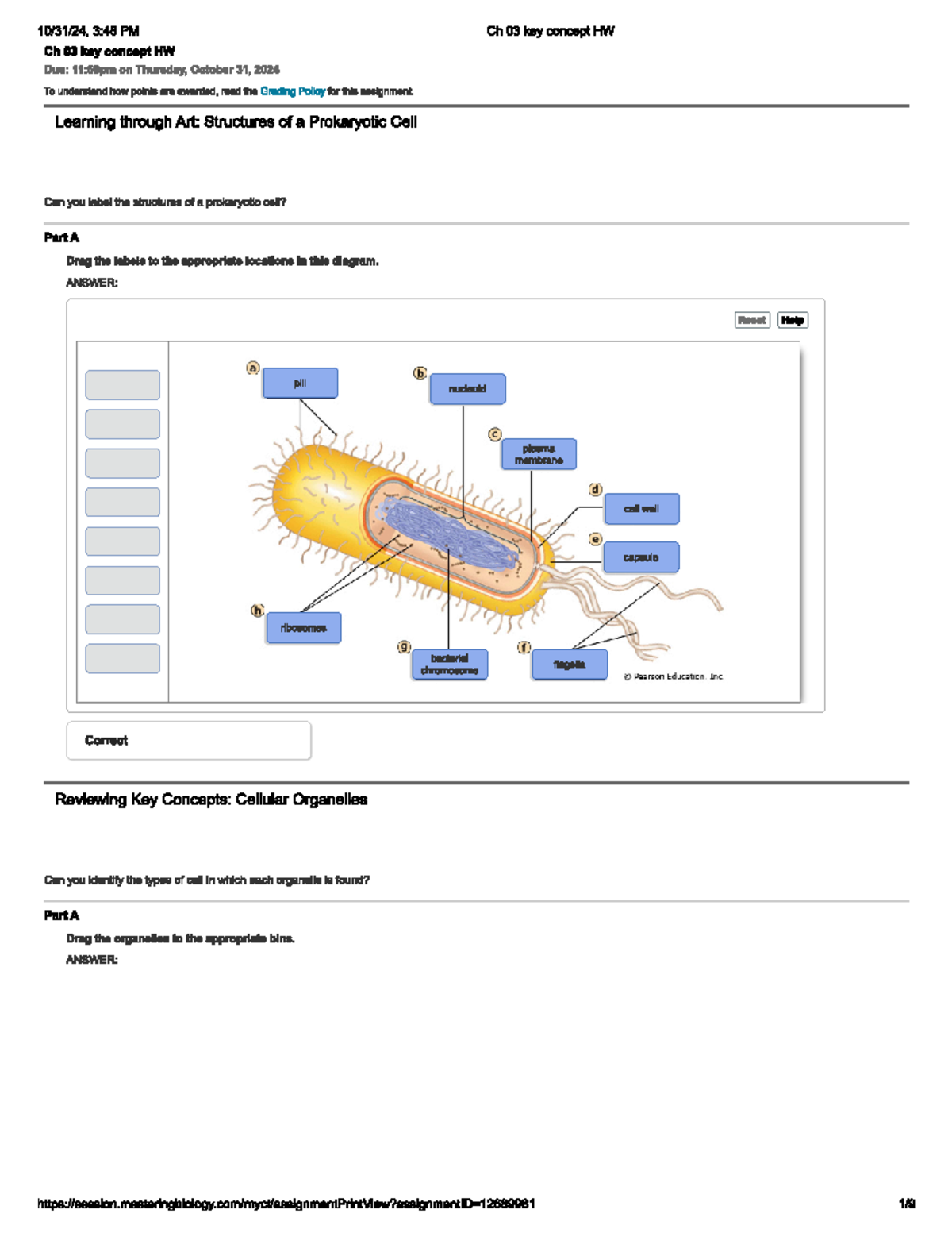 Ch03 Key Concept HW complete - 3:48 PM Ch 03 key concept HW Ch 03 key ...
