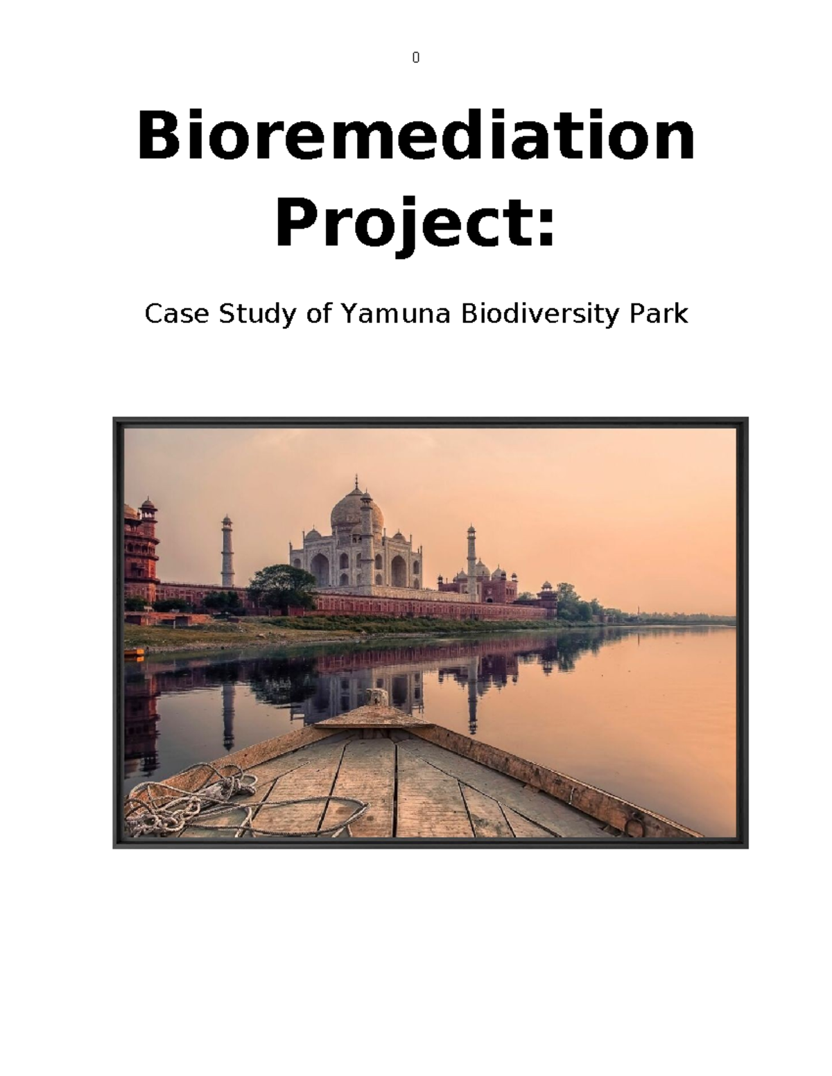 Biology Project - bioremediation - Bioremediation Project: Case Study ...