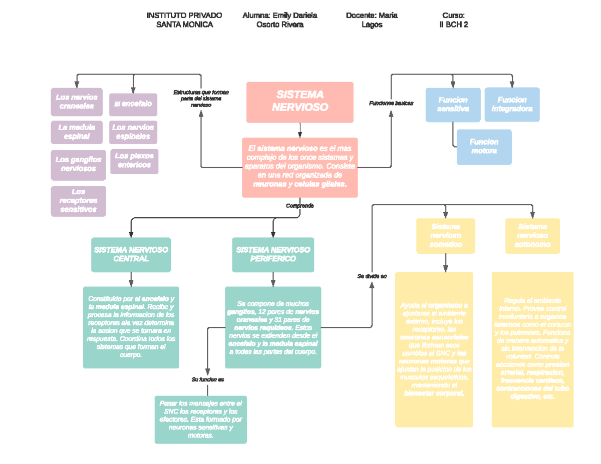 BH2 - Mapa conceptual - Curso: II BCH 2 Alumna: Emily Dariela Osorto Rivera Docente: Maria Lagos ...