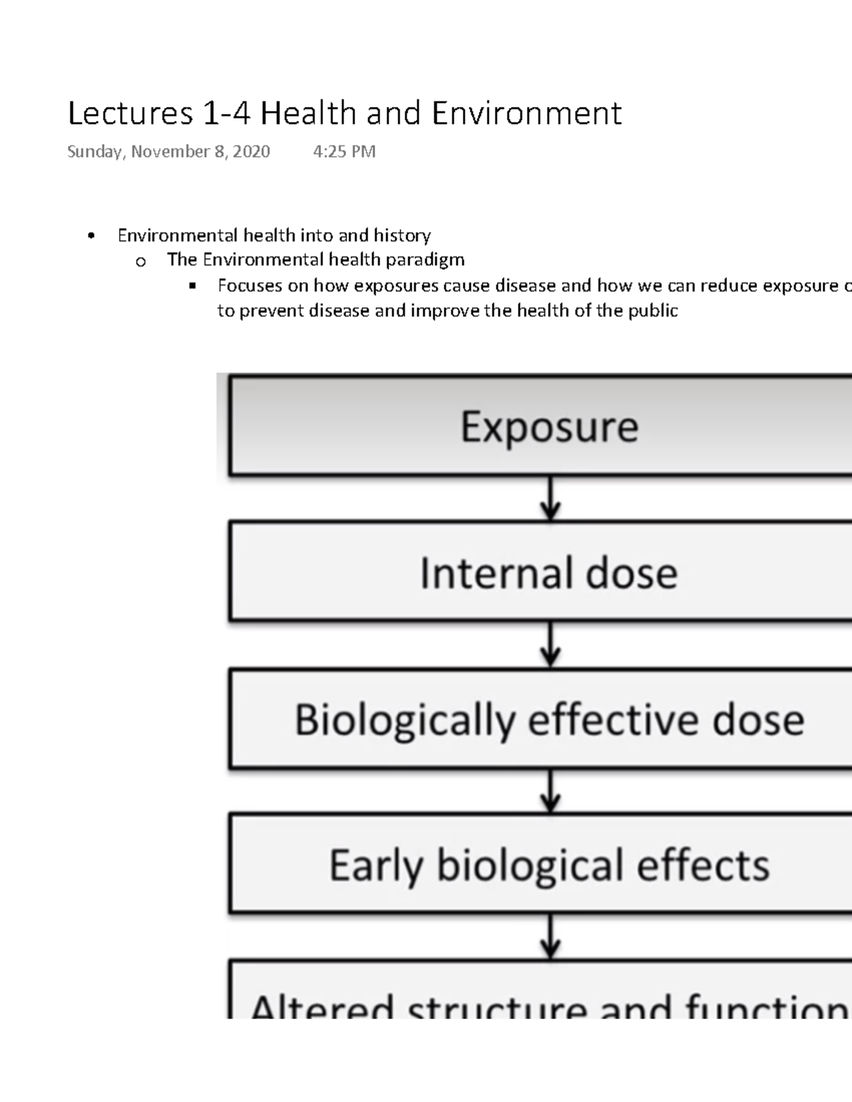 Lectures 1-4 Health and Environment - Environmental health into and ...