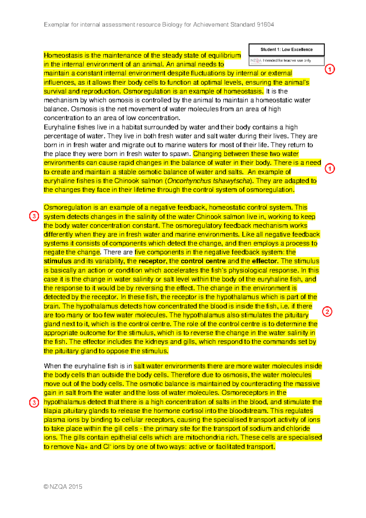 91604 Exemplar Low Excellence - Exemplar for internal assessment ...