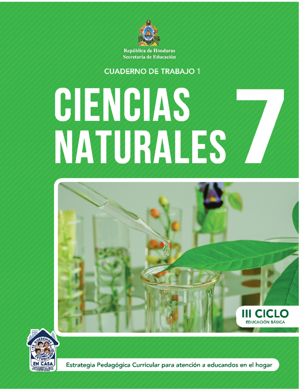 CT1 CCNN 7mo grado SE 2020 - El Cuaderno de Trabajo 1, Ciencias ...