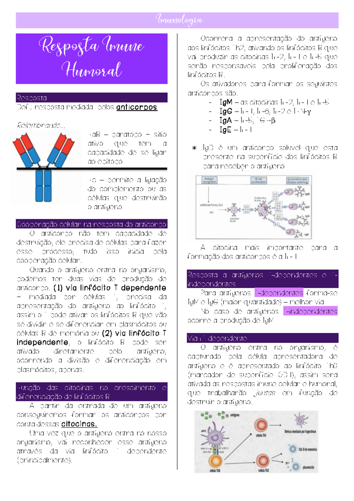 Imuno 7 resp imune humoral - Resposta Imune Humoral Resposta Def ...