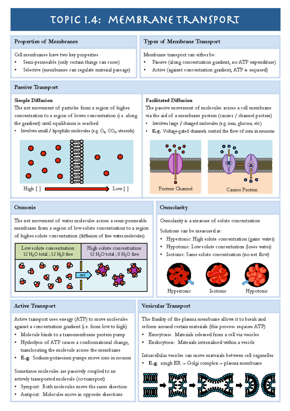 1.4 Membrane Transport - Topic 1: membrAne TrAnsport Properties of Membranes Cell membranes have ...