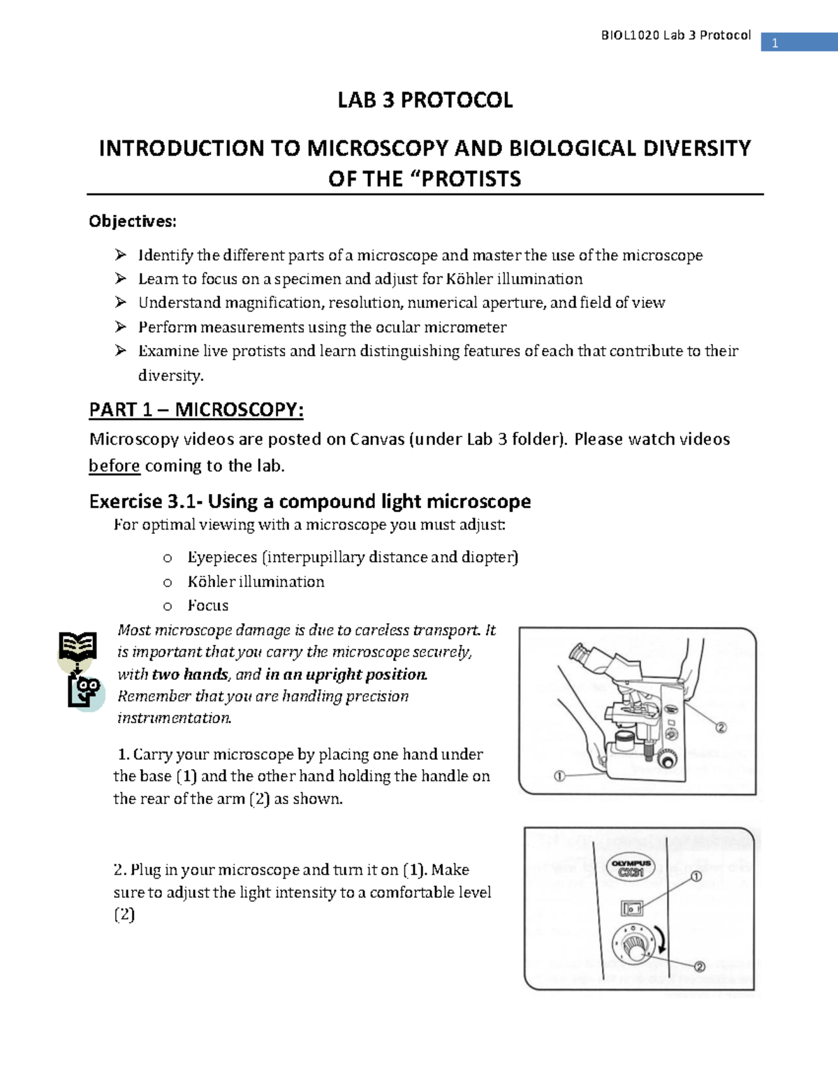 Lab 3 Protocol W2023 - LAB 3 PROTOCOL INTRODUCTION TO MICROSCOPY AND ...