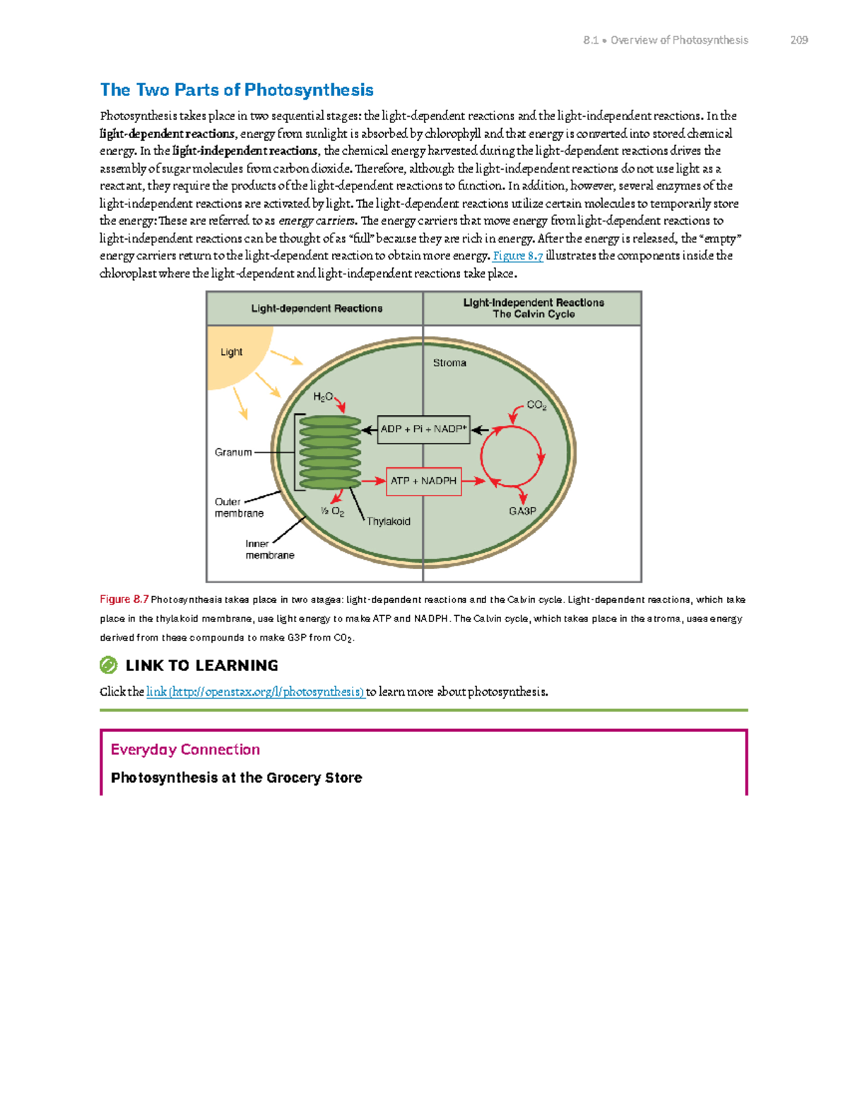 Chapter 8 Photosynthesis Part 2 - The Two Parts of Photosynthesis ...