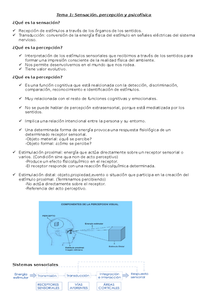 Tema 3 Percepción visual II Reconocimiento de objetos - Tema 3: Percepción visual II-Percepción ...