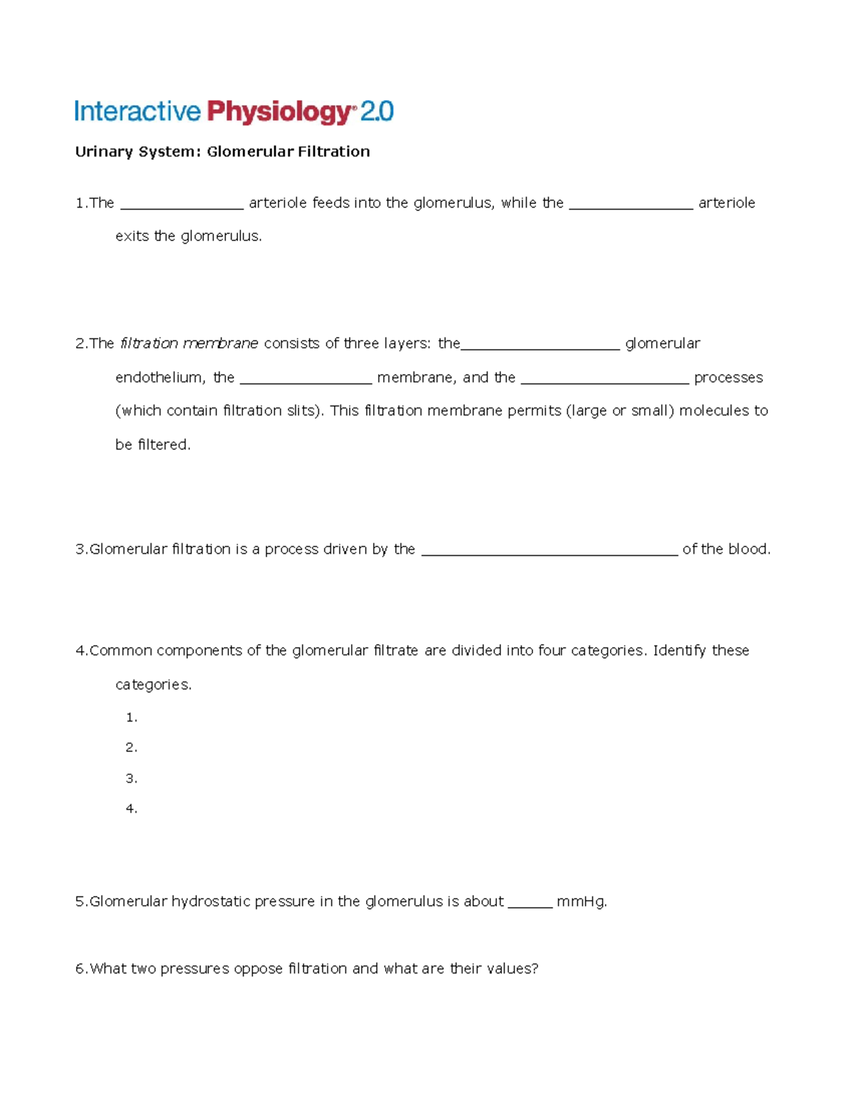 Urinary IP2 Glomerular Filtration Worksheet - Urinary System ...