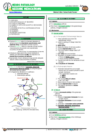 Ninja Nerd EKG Notes - EKG lecture - CARDIOVASCULAR PHYSIOLOGY Last ...