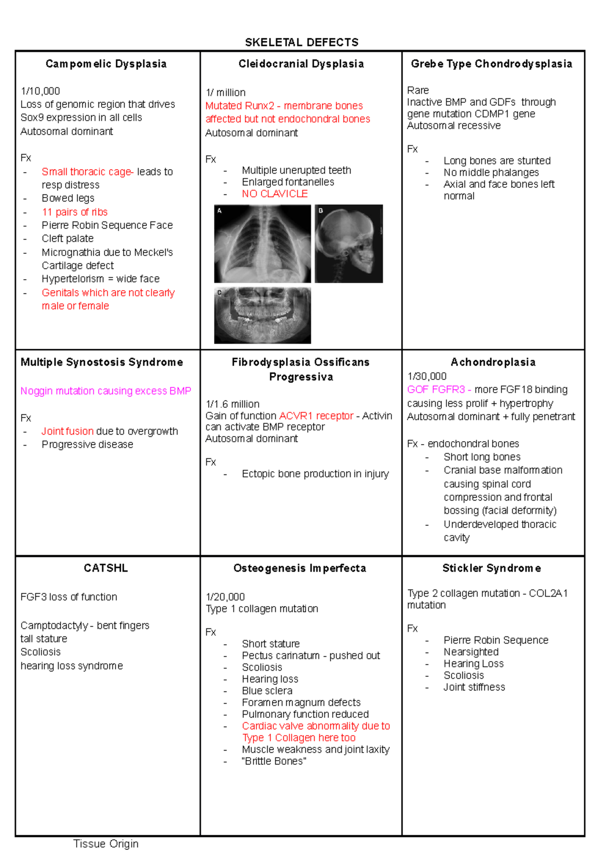 Birth Defects - Skeletal Defects Summarized - SKELETAL DEFECTS ...
