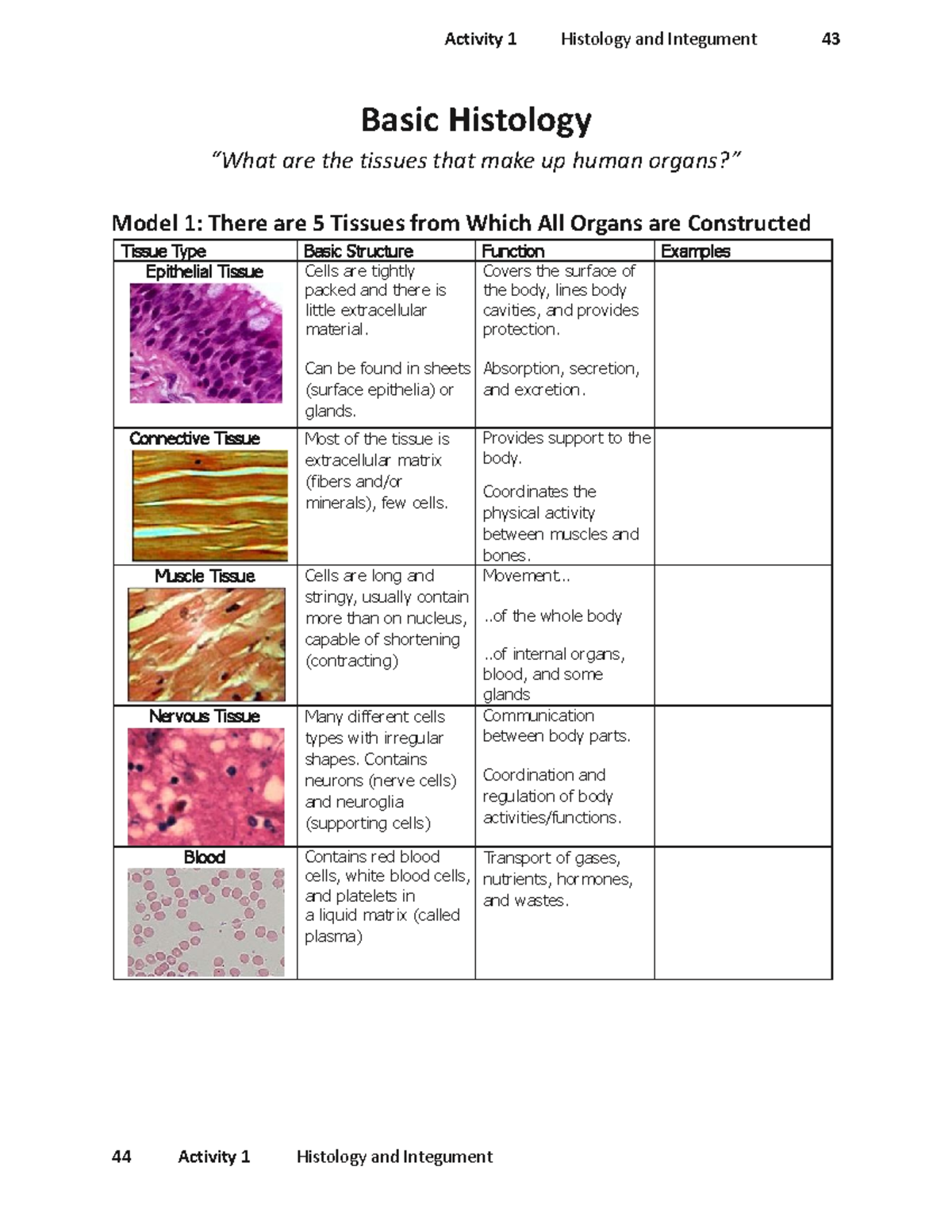 BIOL 207 Histology Pogil-1 - Activity 1 Histology and Integument 43 Basic Histology “What are ...