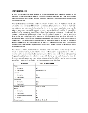 Fichas tecnicas area socio afectiva y area instrumental de la ...