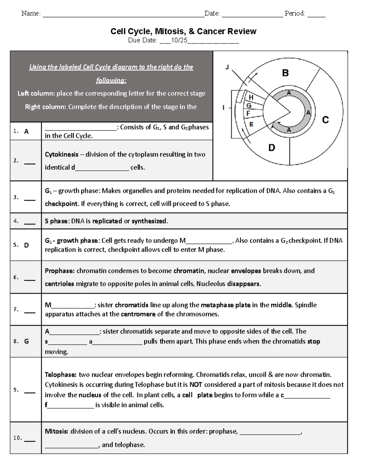 Cell Cycle Exam review with Modification - Name