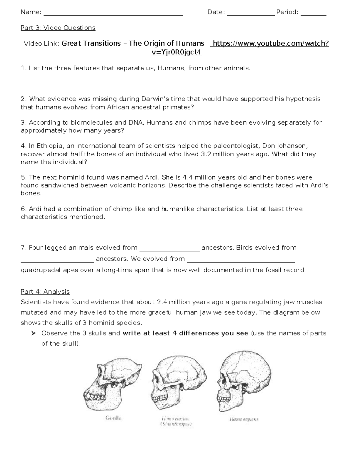 Hominid Evolution Part 3 - Video Questions - Name