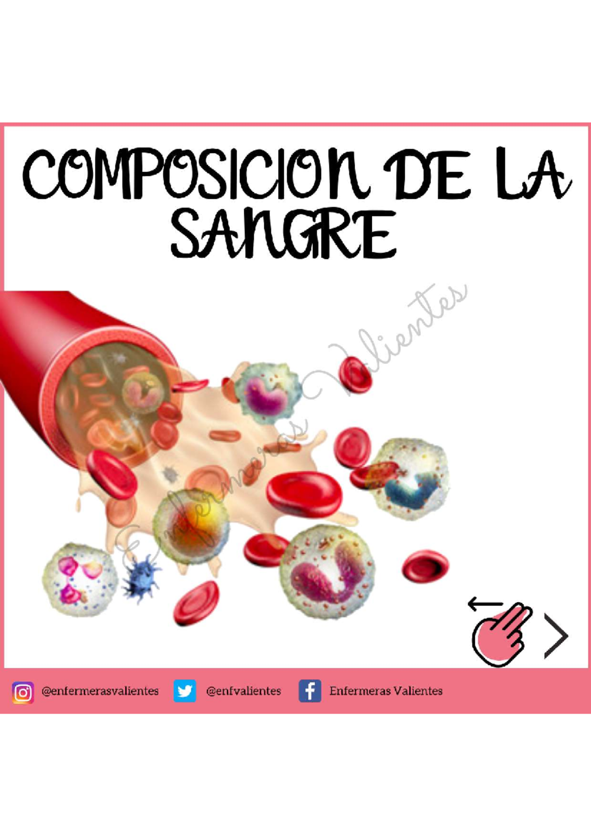 Sangre - Anatomia humana I - Studocu