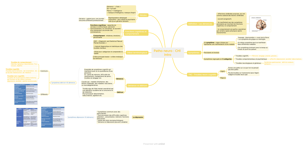 Mind Map Patho neuro CH1 Intro - Patho neuro : CH Intro Définition ...