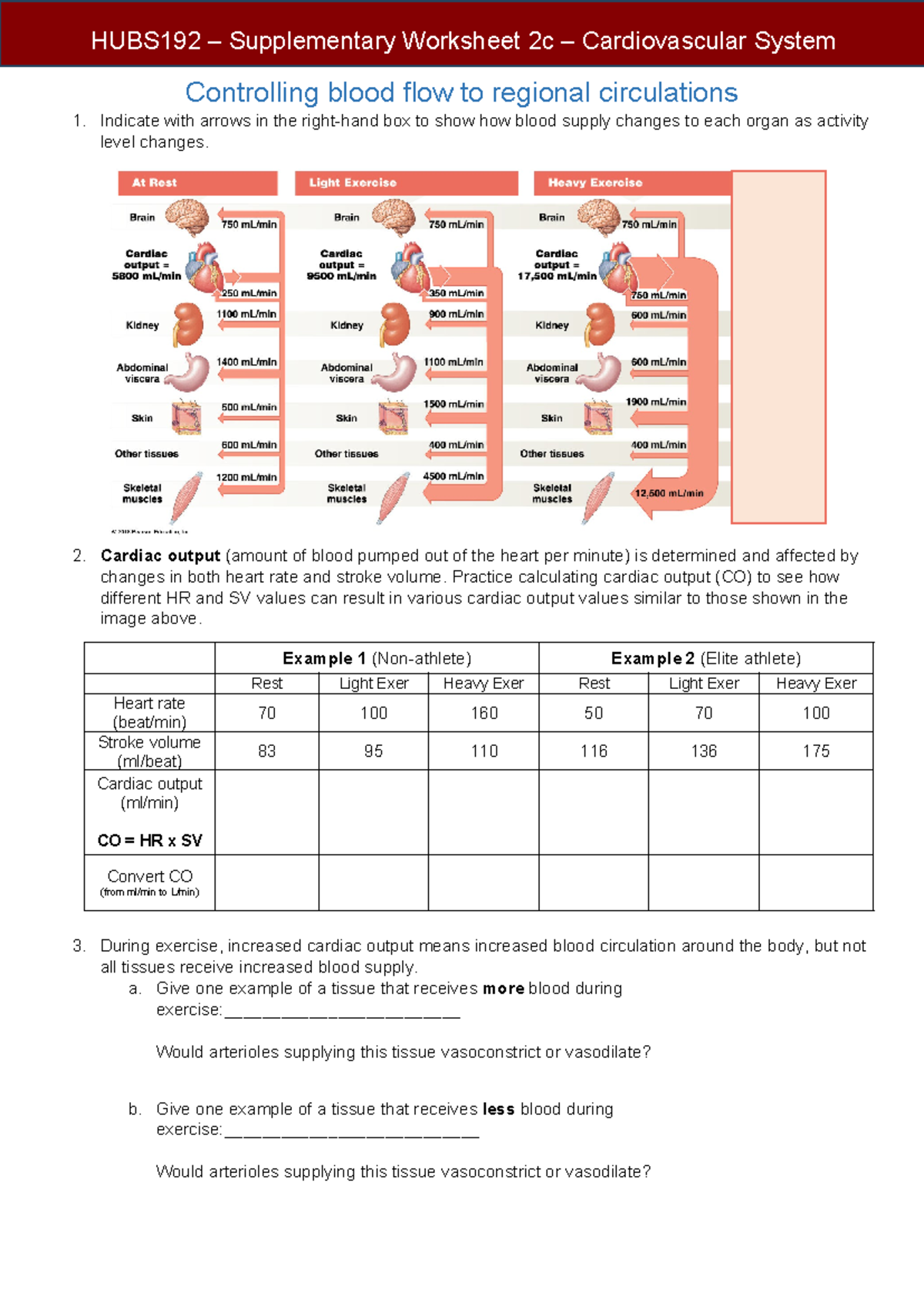 HUBS192 worksheet 2c-CVS 2024 - Controlling blood flow to regional ...