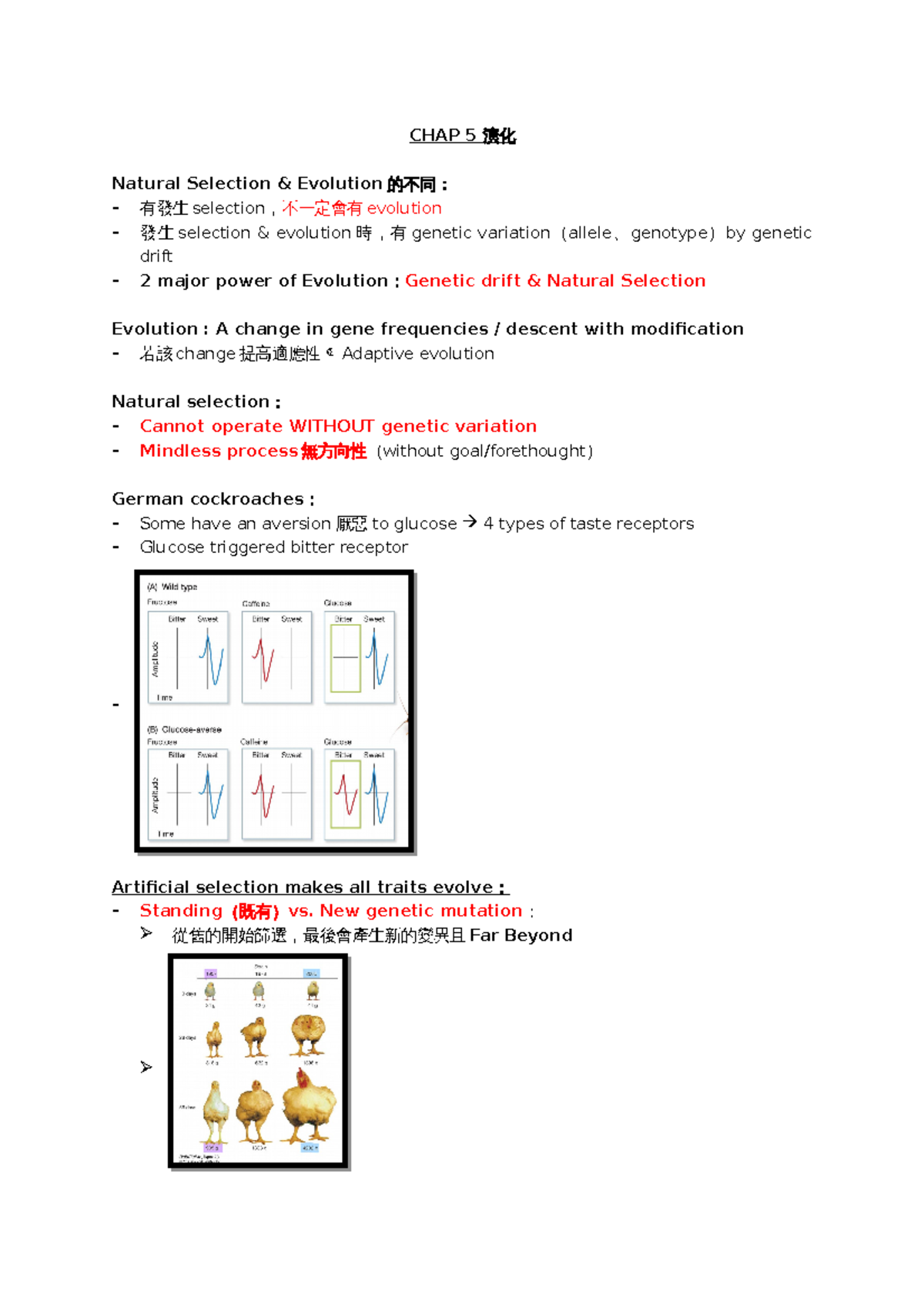 CH 5 The genetical theory of natural selection Notes - CHAP 5 演化 ...