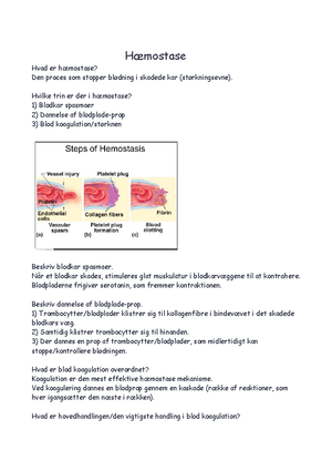 Mikroorganismer og smitteveje - Mikroorganismer og smitteveje ...