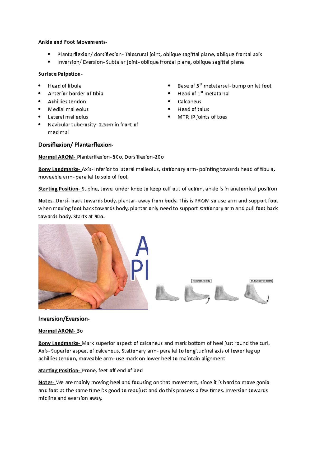 2.2 Ankle and Foot ROM - Ankle and Foot Movements- Plantarflexion ...