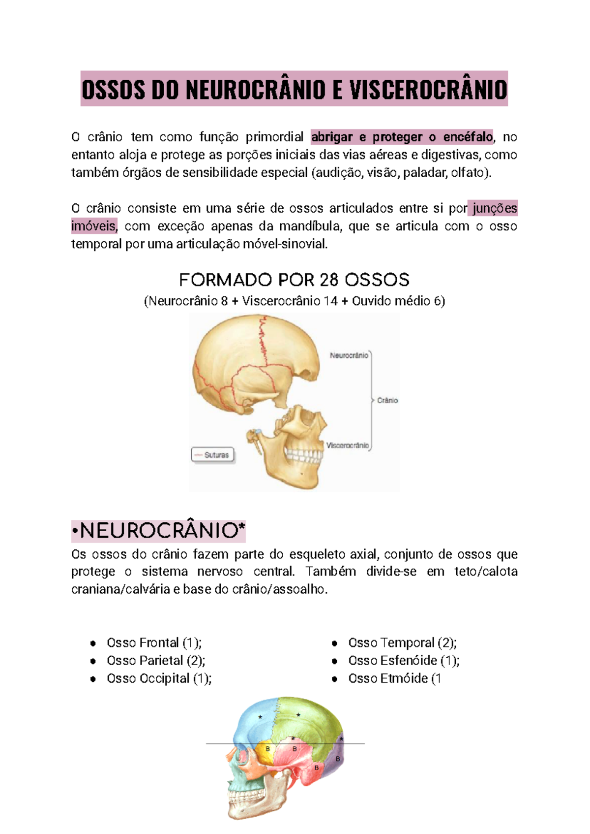 Ossos do neurocrânio e viscerocrânio - OSSOS DO NEUROCRÂNIO E ...